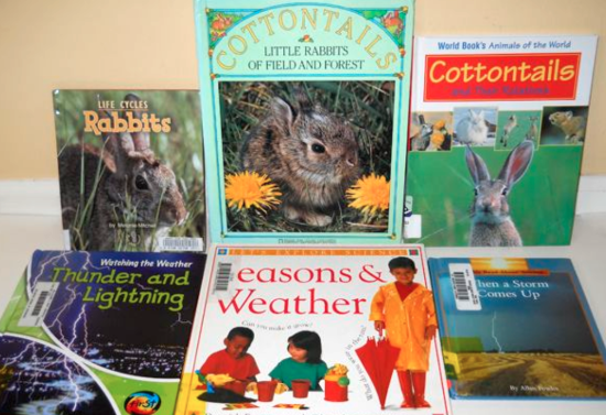 How to Build an Entire Lesson Plan Around a Storybook | Cox Campus